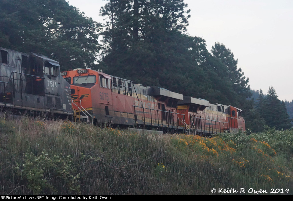 BNSF 7357